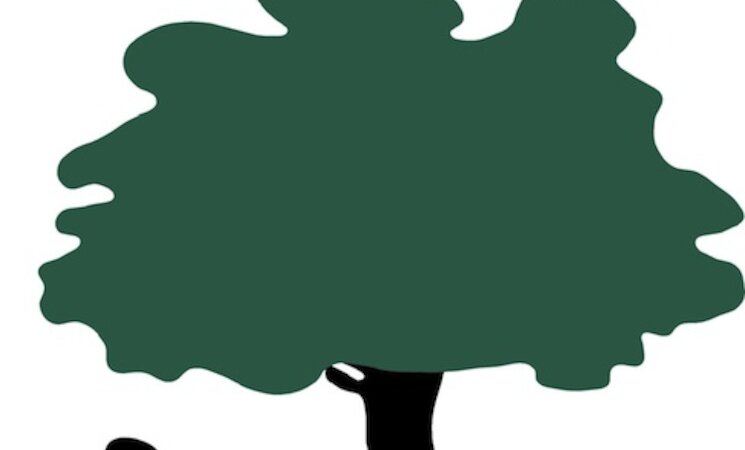 Adenex celebra este sábado su asamblea general ordinaria