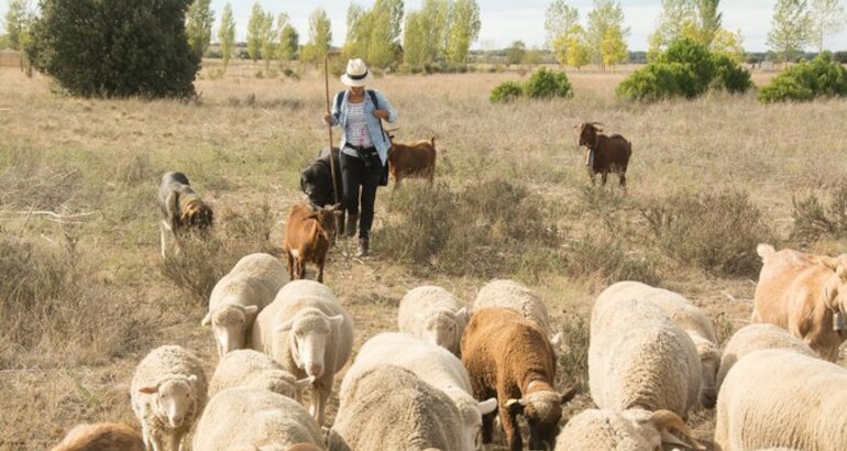 Agricultura amplía la vigencia temporal de pastoreo controlado