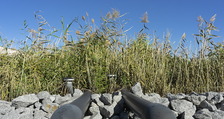 Expertos analizan mejores tecnologías para depurar agua de pequeñas ...