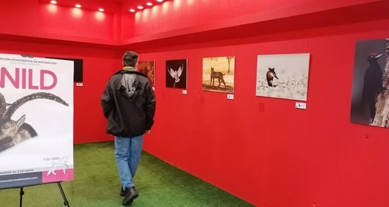 Fotógrafo cacereño Rubén Cebrián expone en el centro comercial Ruta de ...