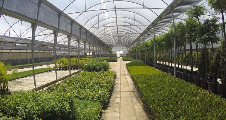 Vivero Provincial inicia campaña anual suministro de plantas para zonas ...