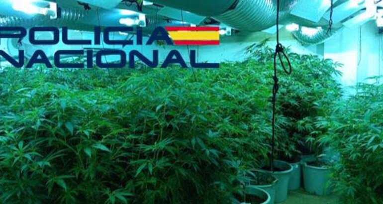 La Policía Nacional desmantela en Badajoz dos puntos de cultivo de marihuana “indoor”