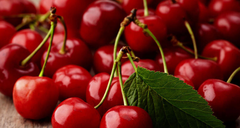 La D.O.P Cereza del Jerte certifica tres nuevas variedades de cereza