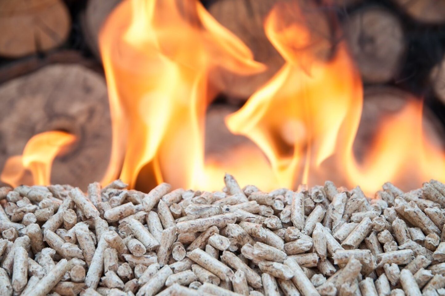 Publicado decreto de ayudas para fabricar biocombustible sólido a ...