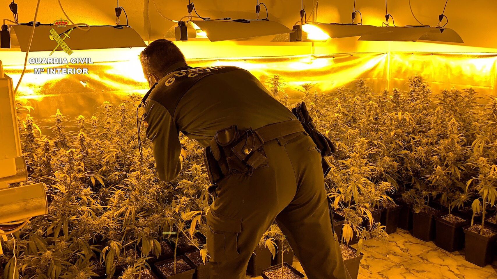 La Guardia Civil desmantela dos plantaciones indoor de marihuana en Villa del Campo