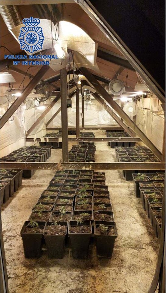 La Policía Nacional desmantela en Mérida una plantación “indoor” de marihuana