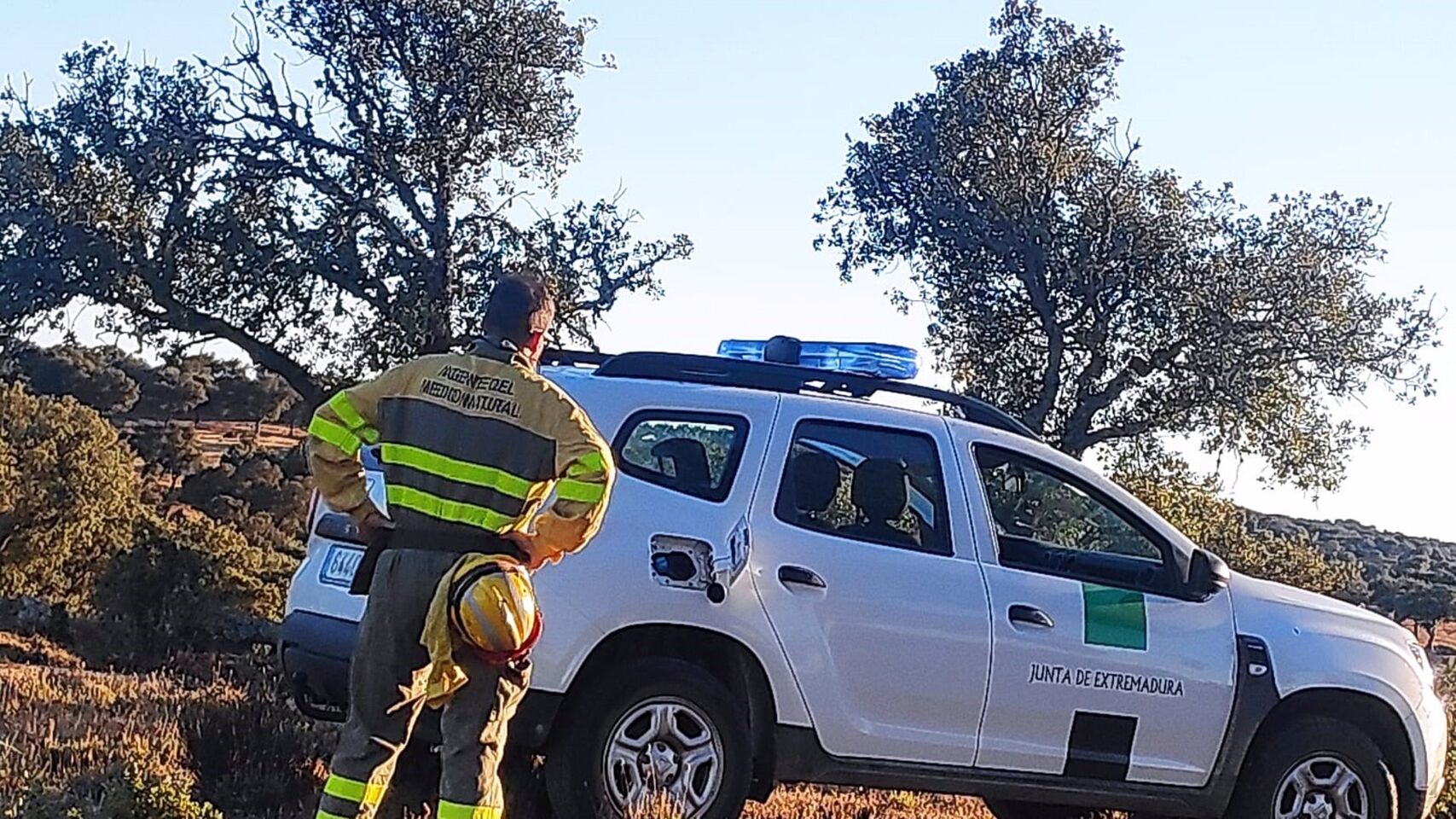 La Junta crea un servicio en Gestión Forestal que gestione a los ...