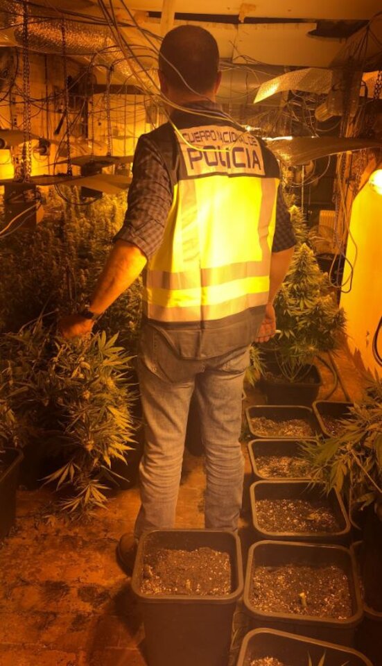 La Policía desmantela una plantación de marihuana en una vivienda del Gurugú en Badajoz