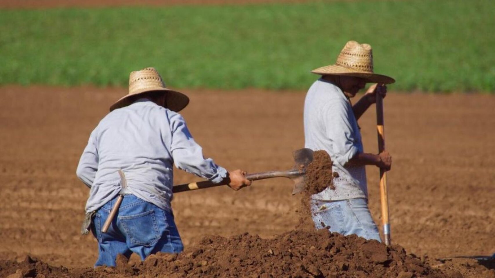Ayudas a entidades locales para obras o servicios de interés general en ...