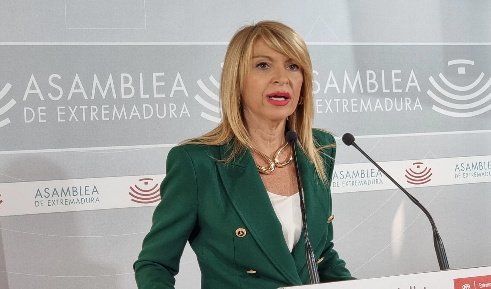 El PSOE critica que el elogio del Día del Libro lo haga "un alto cargo ...