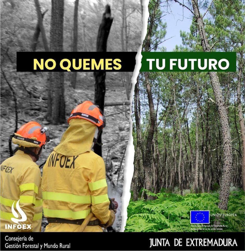 El Infoex ensalza a los 1.200 efectivos que luchan contra el fuego este ...