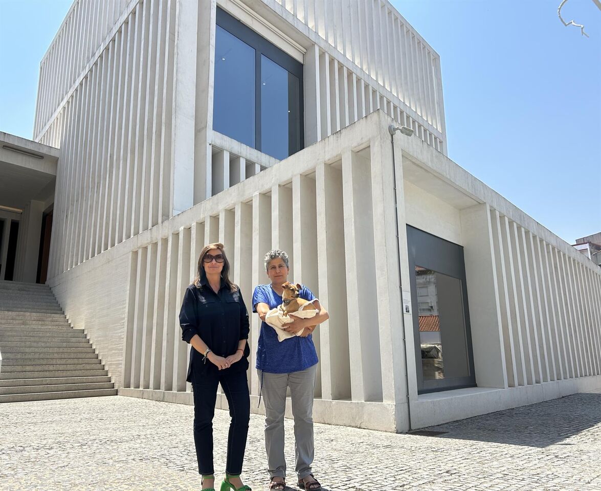 Museo Helga de Alvear inaugura programa residencias con artista ...