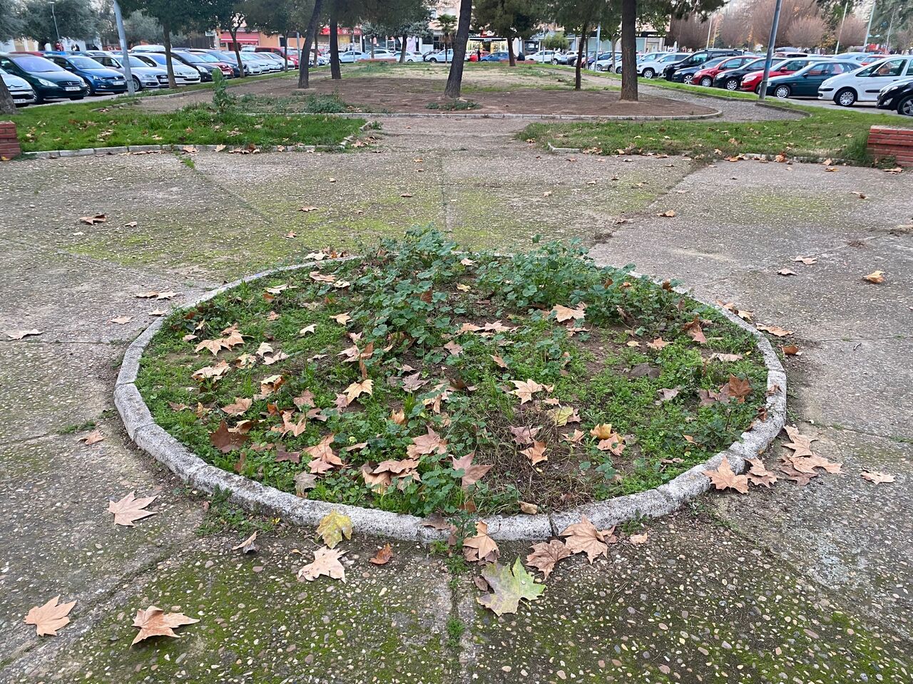 El PSOE de Badajoz celebra la puesta a punto del parque Ángel ...